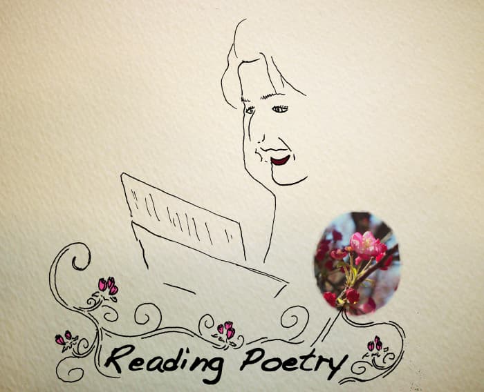 How To Read Poetry And Analyze A Poem Owlcation
