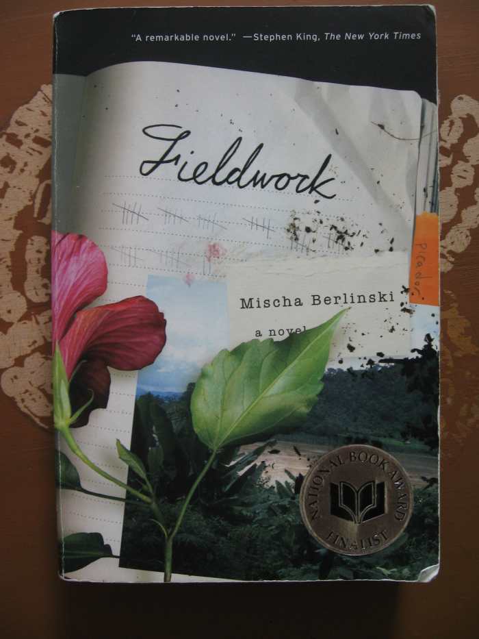 A Book Review: "Fieldwork" by Mischa Berlinski - Owlcation