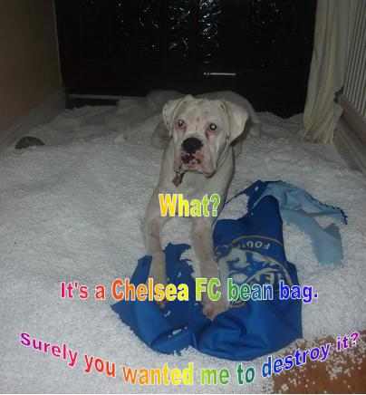 How to Create Your Own Meme - HubPages