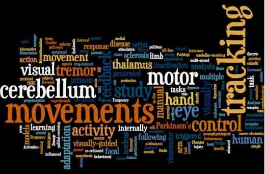 Closed Motor Skills vs. Open Motor Skills - Owlcation