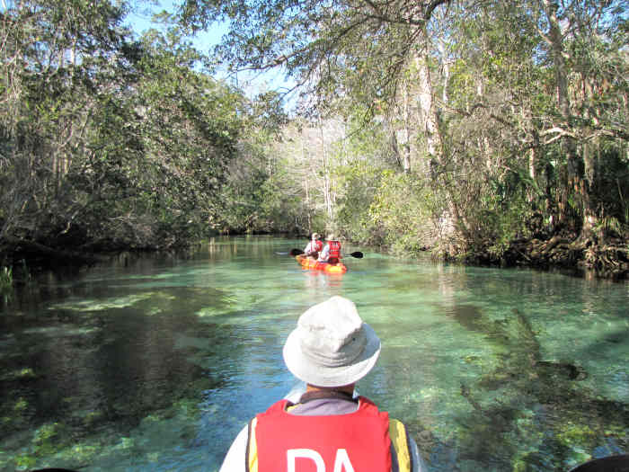 Kayaking the Weeki Wachee River - HubPages