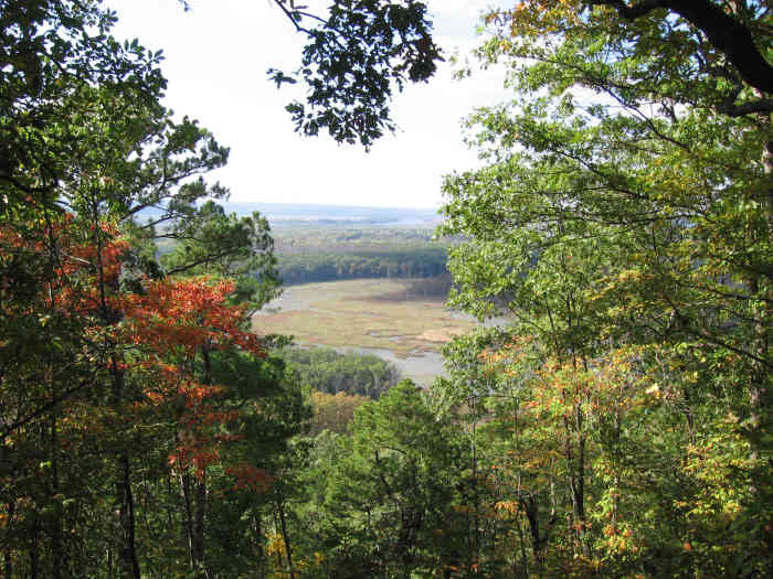 Visiting Snake Road in Southwest Illinois - HubPages