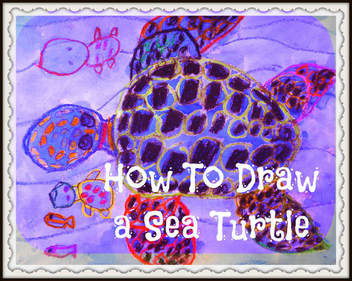 Kids Art Lesson: How to Draw a Sea Turtle - FeltMagnet