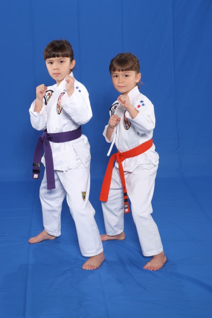 16 Karate Games for Kids - HubPages