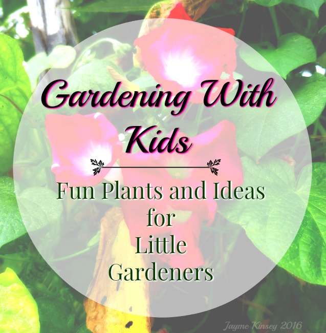 Fun Plants and Ideas for Gardening With Children - Dengarden