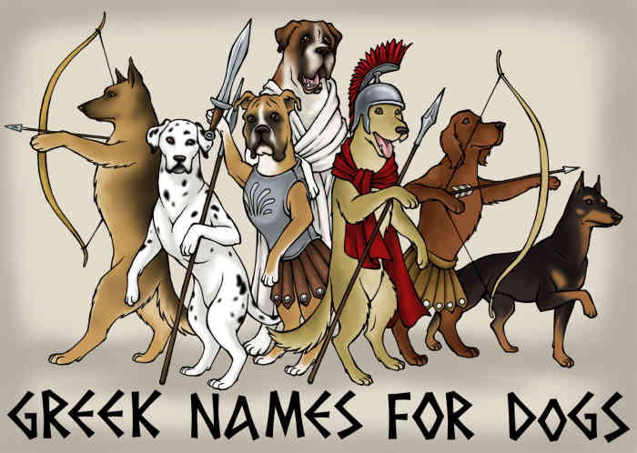 200+ Unique Greek Dog Names for Your Male Dog From Myth - HubPages
