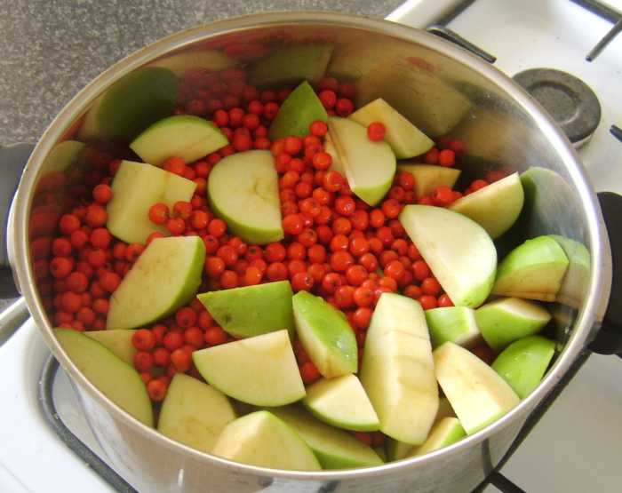 Rowan and Apple Jelly Recipe - HubPages