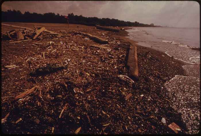 Summary and Analysis of T.C. Boyle's "Greasy Lake" - HubPages