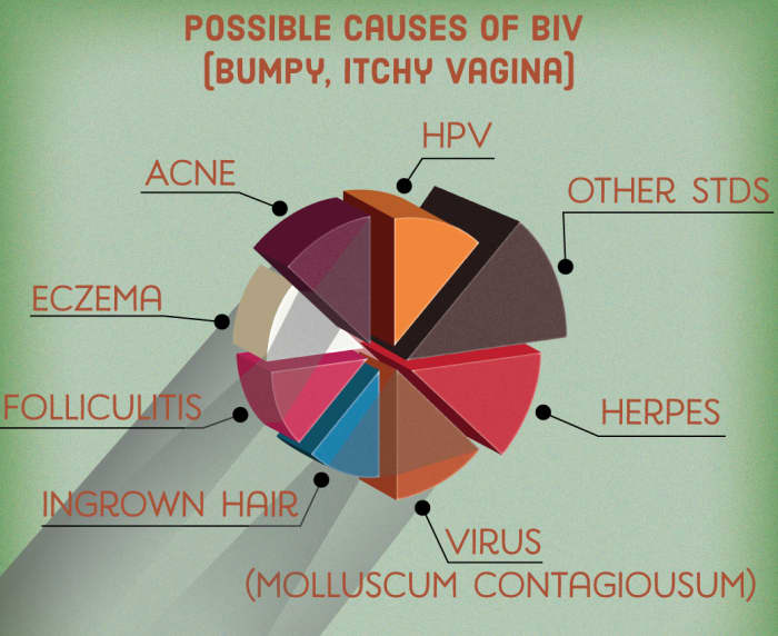 Causes And Cures For Itchy Vaginal Lumps Bumps And Sores Youmemindbody