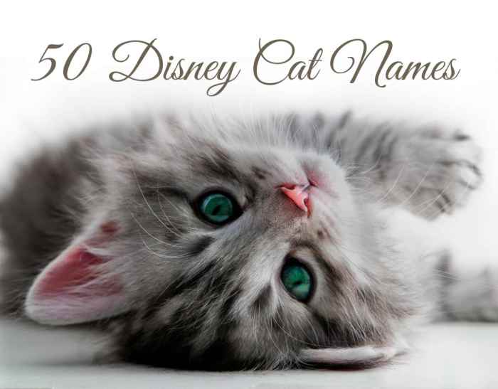 50 Disney Cat Names (From Aladdin to Yzma) - HubPages