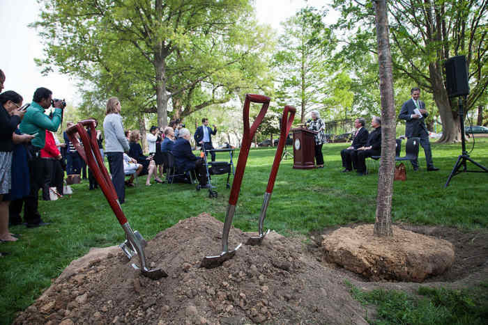 5 Easy Ways You Can Help Reduce Pollution - Dengarden