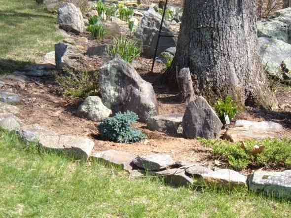 How We Designed and Created Our Rock Gardens: Landscaping Our Yard With ...