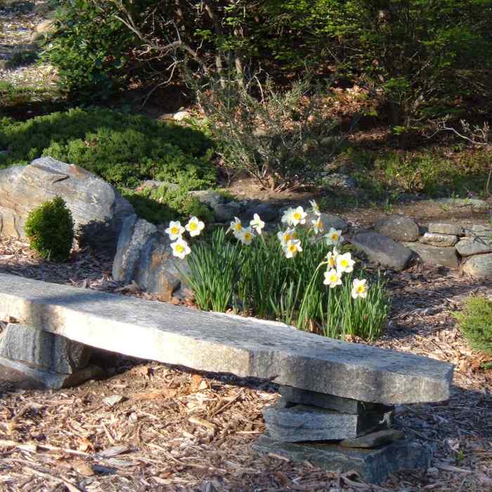How We Designed and Created Our Rock Gardens: Landscaping Our Yard With ...