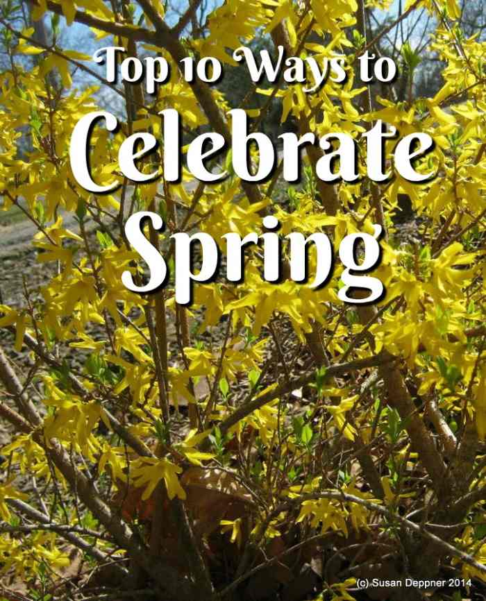 Top 10 Ways to Celebrate Spring - HubPages