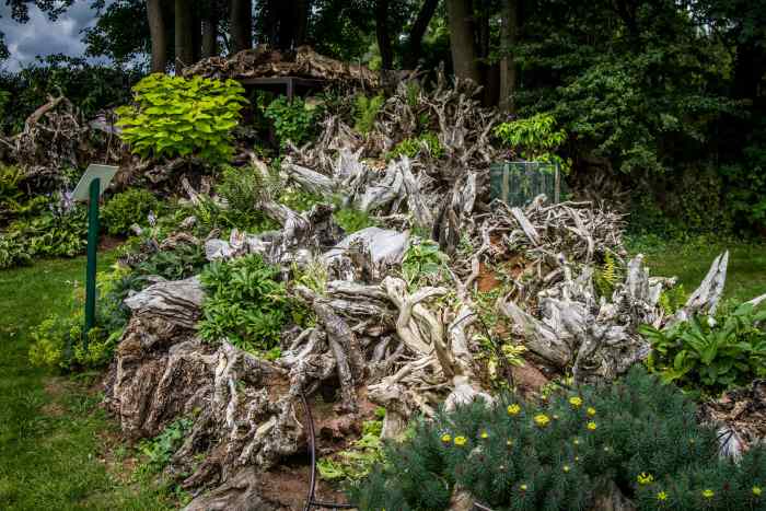 How to Make a DIY Stumpery in Your Garden - HubPages