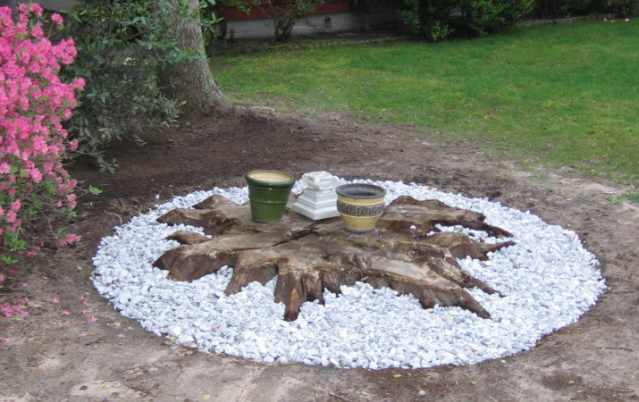 How to Remove Tree Stumps With a Power Washer - Dengarden