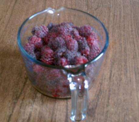 How to Grow Loganberry and Enjoy Its Fruit - HubPages