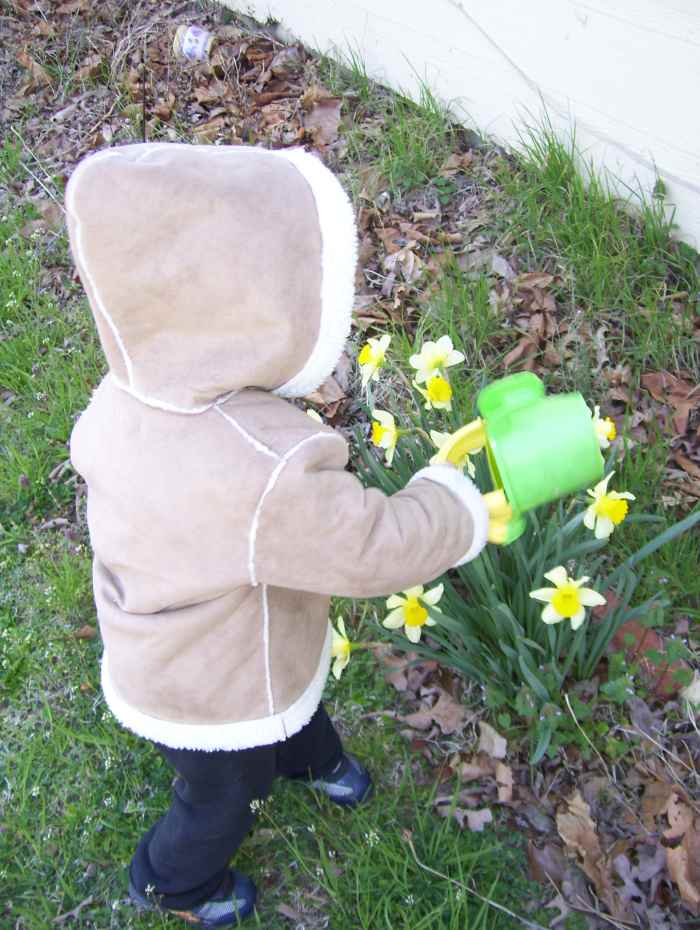 Fun Plants and Ideas for Gardening With Children - Dengarden