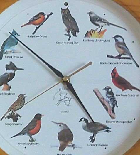 How to Reset a Singing Bird Clock - HubPages