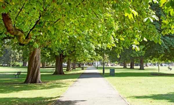 A Guide for Residential Tree Owners in the London Borough of Ealing ...