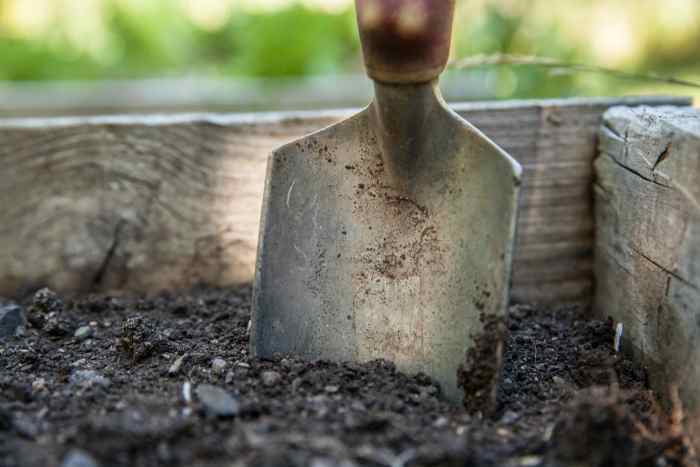 Why You Should Test Your Soil - HubPages