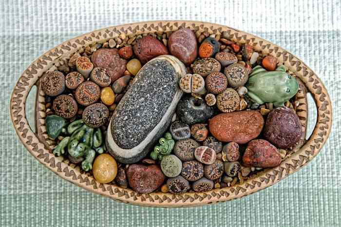 How to Grow Lithops (Living Stones) - HubPages