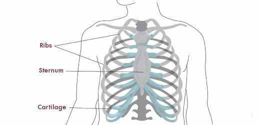 Severe Pain on the Right Side of the Back, Abdomen, and Ribs - HubPages