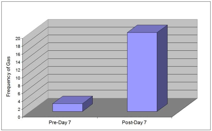 Causes of Excessive Flatulence - HubPages