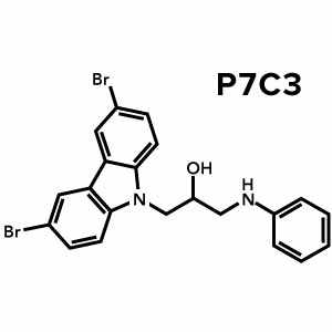 How Adult Neurogenesis Can Help Fight Depression - HubPages