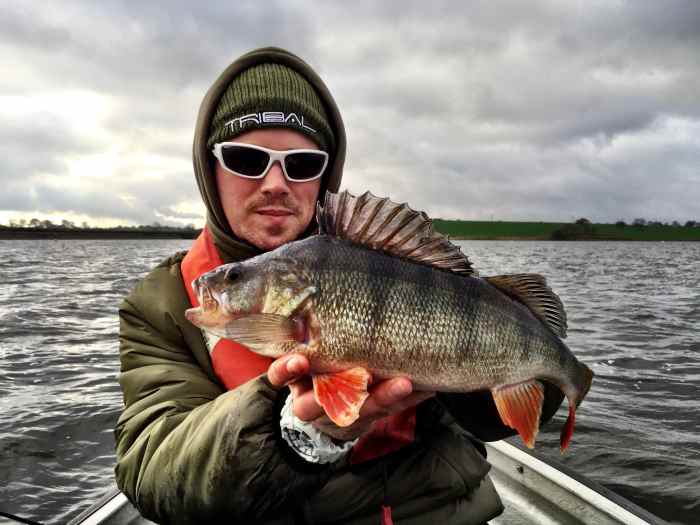 Ultralight Dropshot Perch Fishing - HubPages