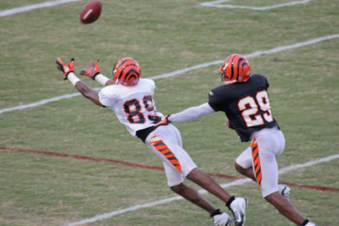 The Advantages of Long Arms in Sports - HubPages