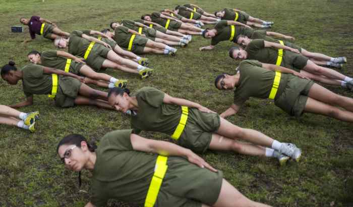 Flab-to-Fit: The Total Body Transformation Program - HubPages