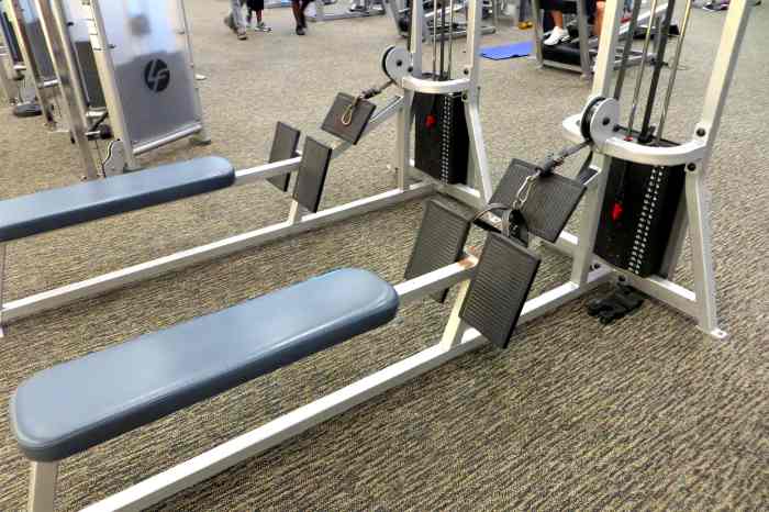 How to Do a Close-Grip Seated Cable Row With Proper Form - HubPages