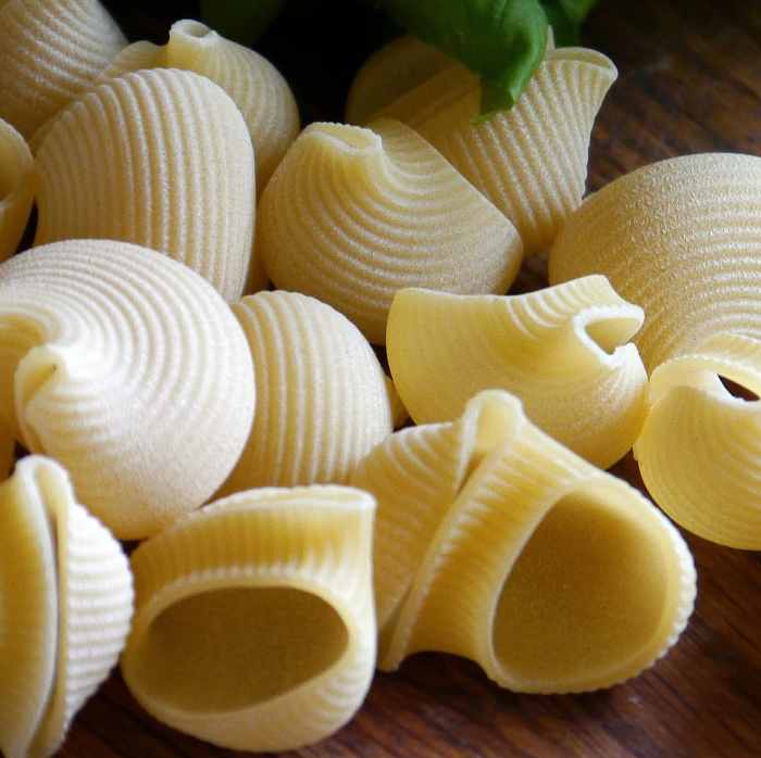 Perfect Stuffed Pasta Shells - HubPages