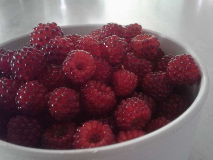 Exploring Raspberries: Fun Facts, Folklore, and 7 Savory Recipes - HubPages