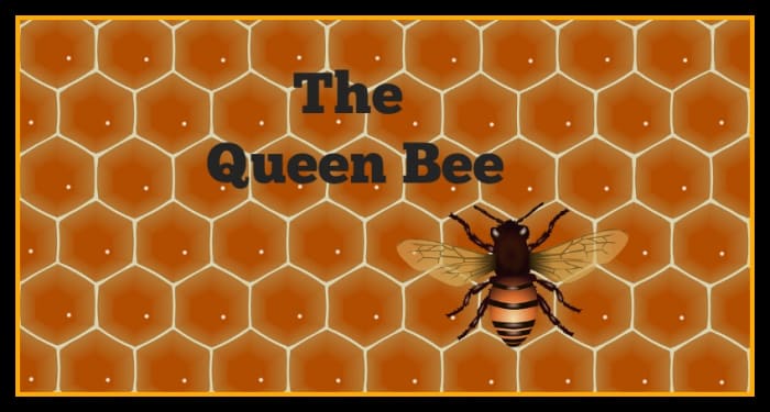 The Life of the Queen Bee in the Honey Bee Hive - Owlcation