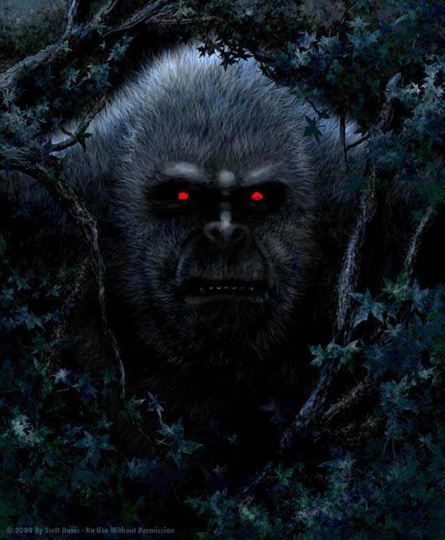 Sasquatch Sound Waves - HubPages