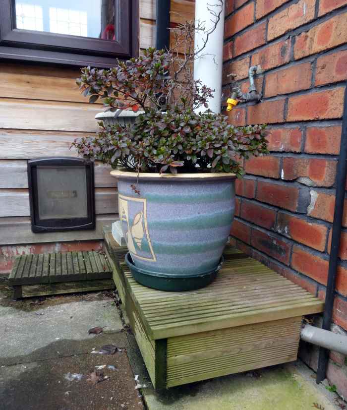 How to Make a Simple Multipurpose Doorstep for Your Cat Flap From ...