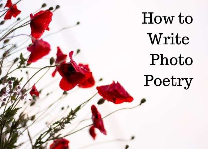 Discover Photo Poetry: How to Write for Photos - HobbyLark
