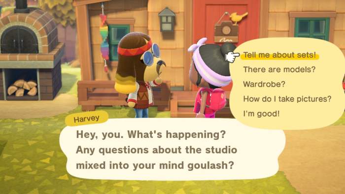 Everything You Need to Know About Harv's Island in "Animal Crossing ...