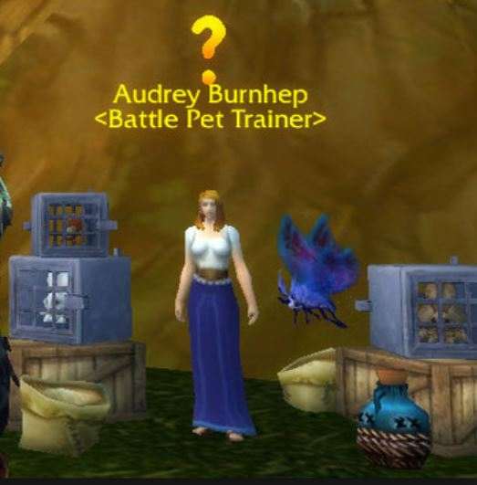 "World of Warcraft" Battle Pets Guide: Best PvP Team Builds - HubPages