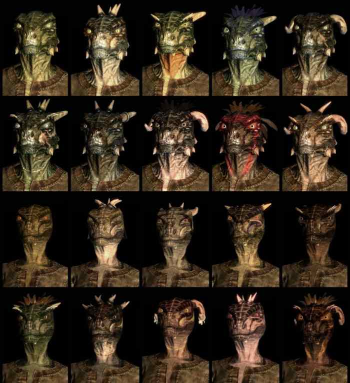 "Skyrim": Detailed Breakdown of the Elf, Human, and Outcast Races ...