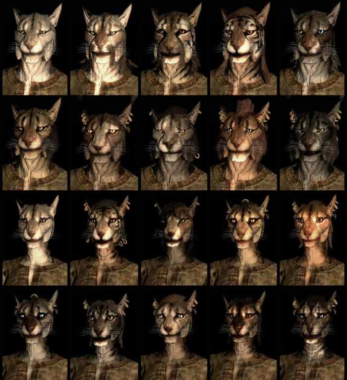 "Skyrim": Detailed Breakdown of the Elf, Human, and Outcast Races ...