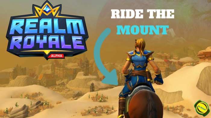 5 "Realm Royale" Tips for Beginners - HubPages