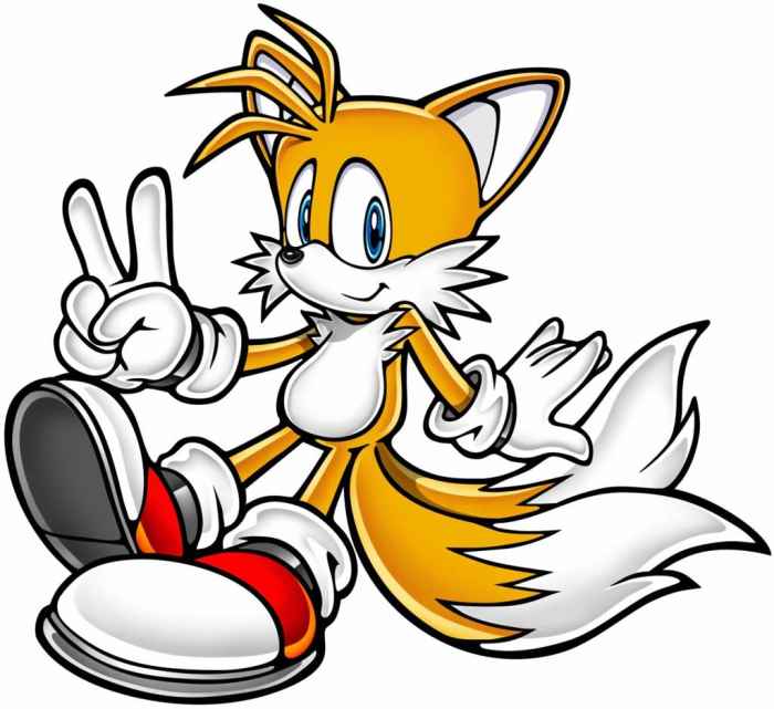 Top 10 Fastest "Sonic the Hedgehog" Characters - HubPages