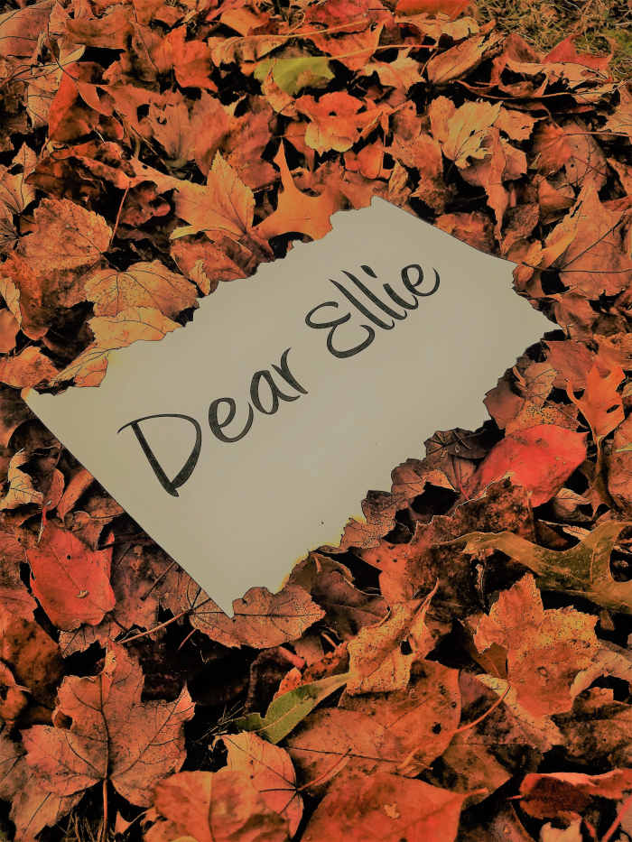 Dear Ellie - Part 28 - LetterPile