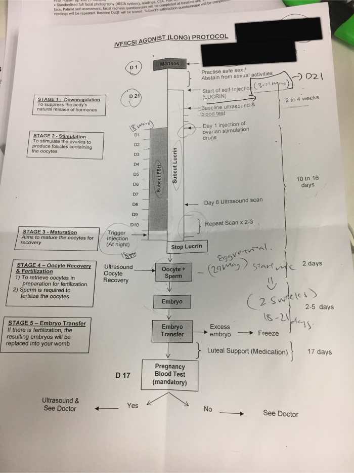 IVF Procedure: A Personal Step by Step Guide on the IVF Process - HubPages
