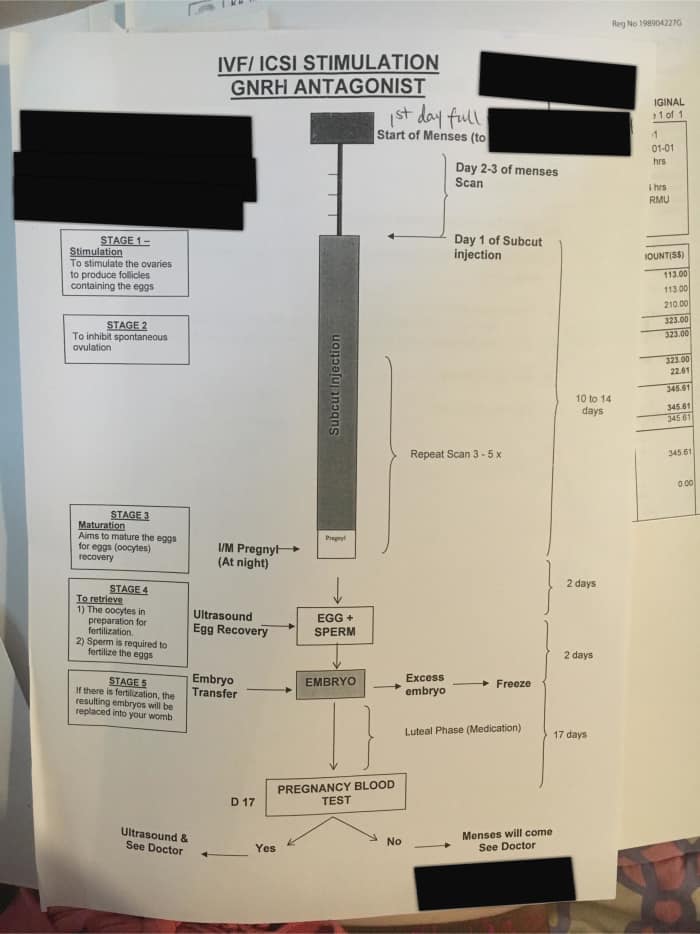 IVF Procedure: A Personal Step by Step Guide on the IVF Process - HubPages