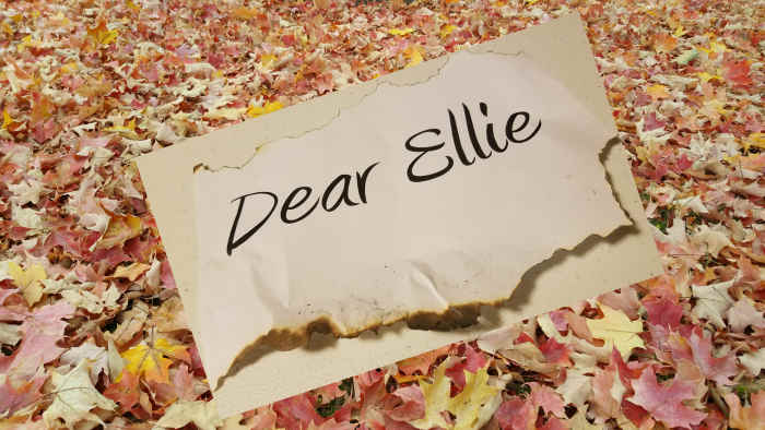Dear Ellie - Part 14 - LetterPile