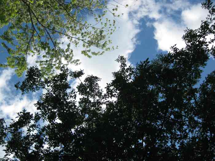 The Importance of Clean Air and Breathing Right: A Step-by-Step Guide ...